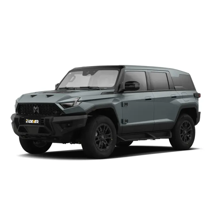 Mengshi M-Terrain 917