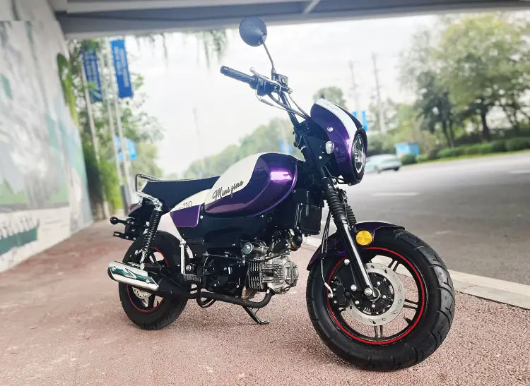 HS110-E MINI Motorcycle
