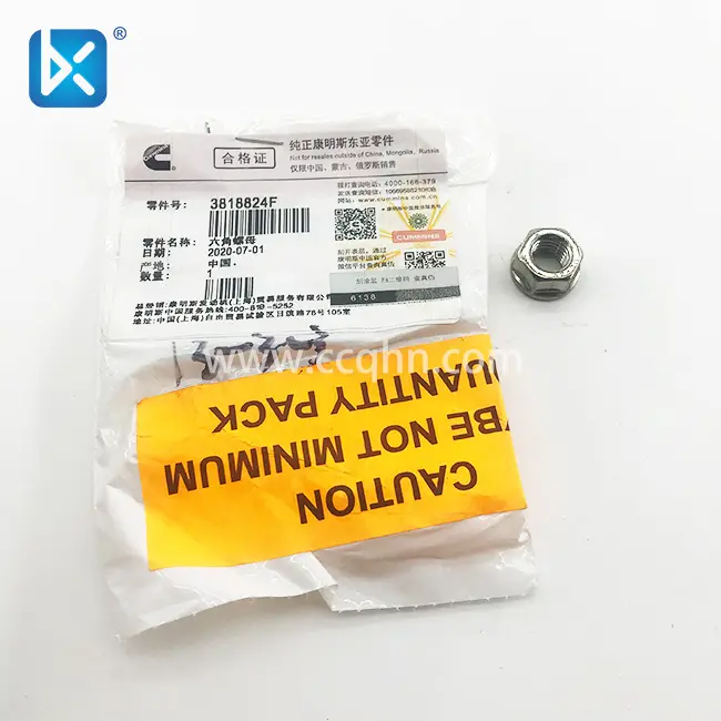 Cummins Nut, Regular Hexagon 3818824F