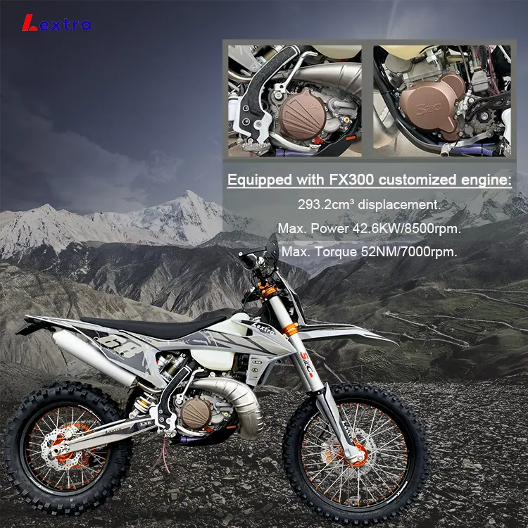 Experience the Thrill: Features of our LXK300M 300cc 2-Stroke Off-Road ...