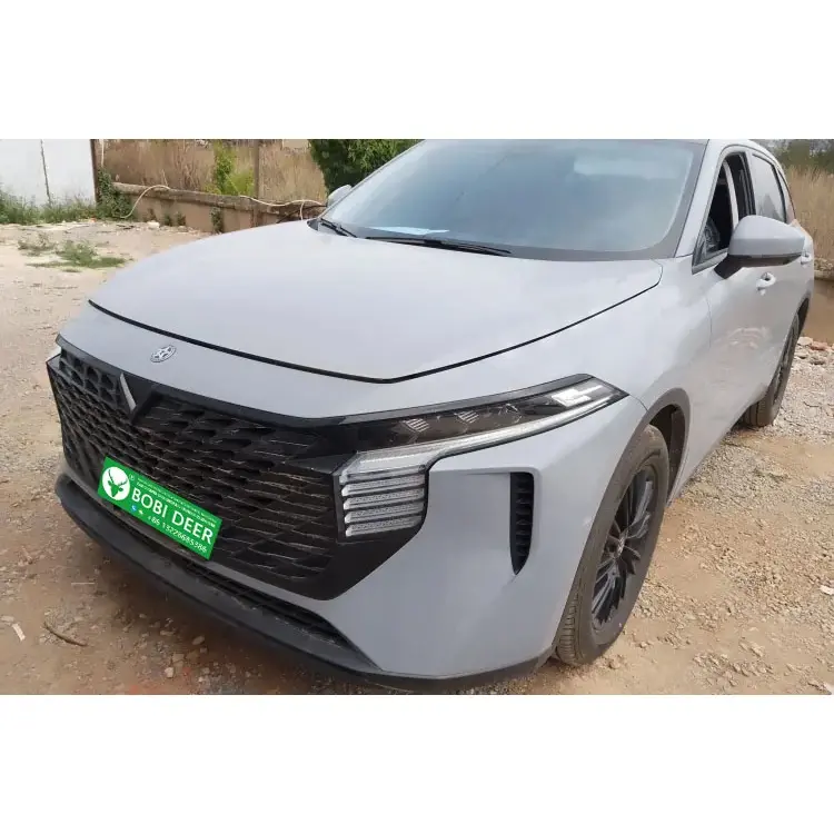 Used Car Venucia V 2023 260T Idol Edition Pro